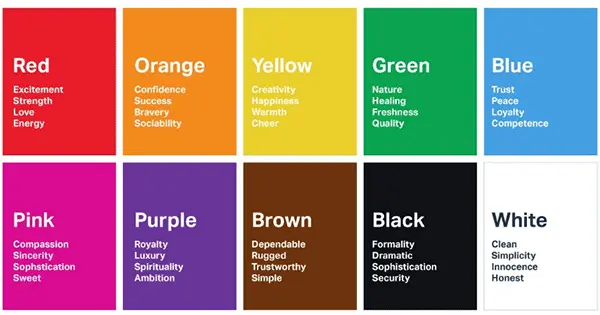 How to Choose the Best Color Palette for Your User Interface